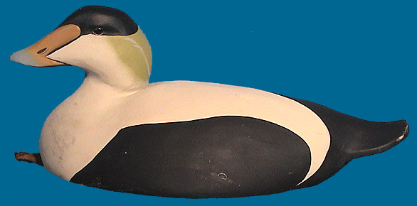 old-decoys.com old duck goose swan brant shorebird decoys for sale